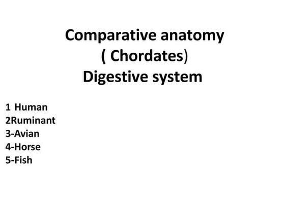 Animal Digestive System | PPTX