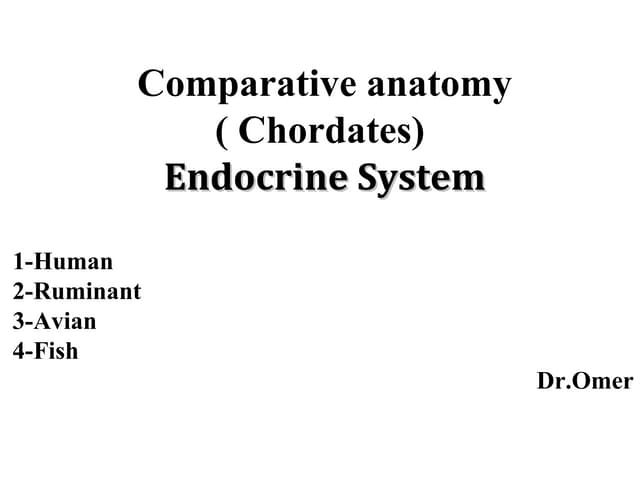 Endocrine System (Hormones in Animals/WBBSE)) | PPTX