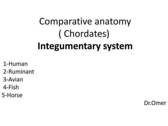 Comparative account of jaw suspension | PPT