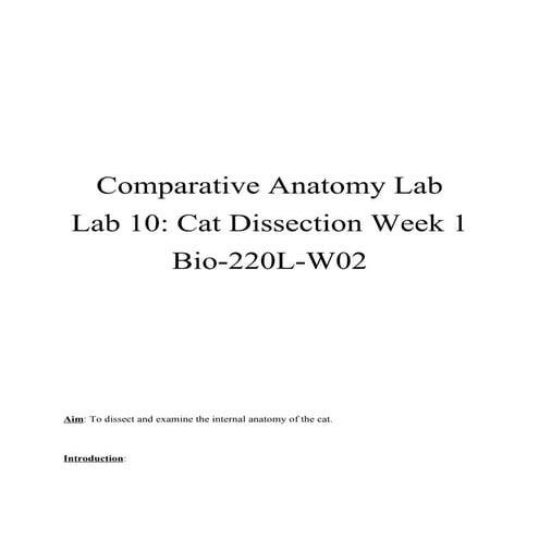 Comparative anatomy | DOC