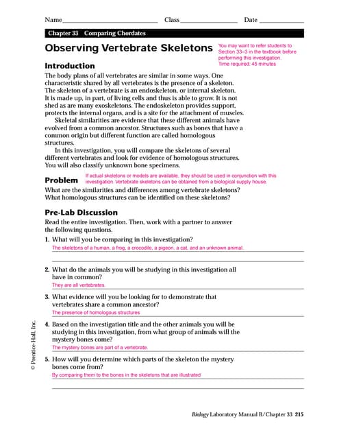Comparative Anatomy Written Lab Bones | PDF | Bone and Joint Conditions | Diseases and Conditions