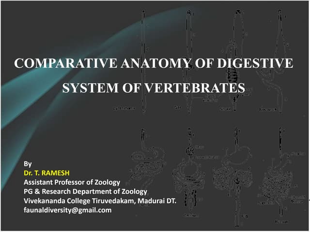 DIGESTIVE SYSTEM OF FROGS AND HUMANS.pdf
