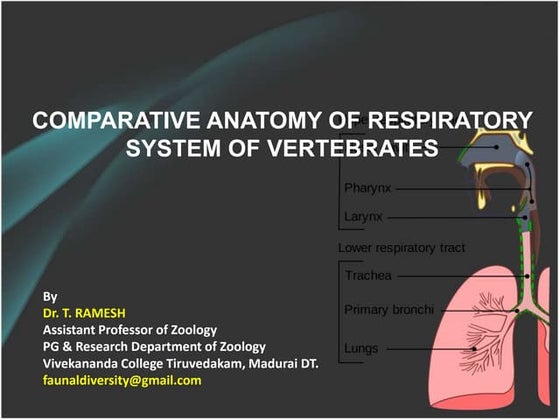 comparative anatomy of respiratory system of Reptiles, Birds and ...