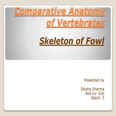 Comparative anatomy of vertebrates | PPTX