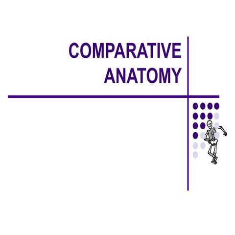 Comparative anatomy | PPT