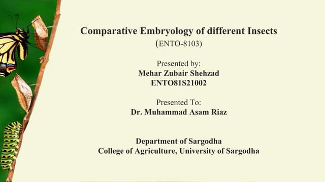 Cleavage, Types of cleavage | PPTX