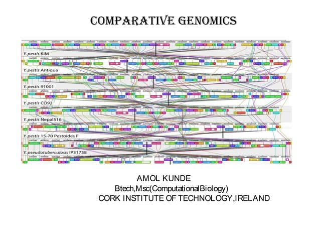 Comparative genomics | PPTX | Genetics | Science