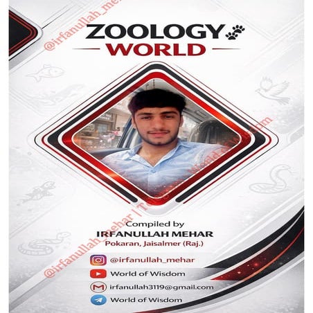 Comparative Heart Anatomy of vertebrates @irfanullah_mehar.pdf