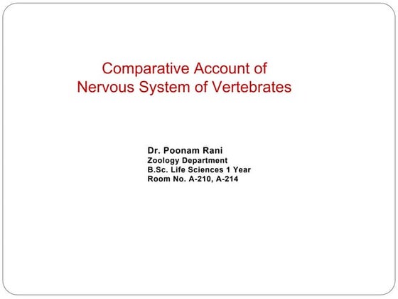 Nervous system of fishes. lagler ichthyologypptx | PPTX | Brain and Nervous System Disorders ...