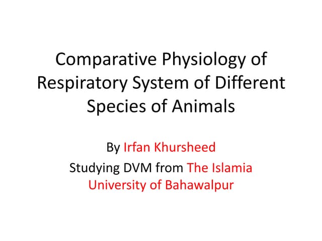 EVOLUTION OF RESPIRATORY SYSTEM | PPTX