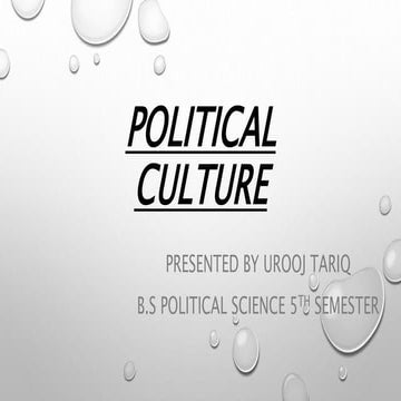 Political culture in comparative politics | PPTX