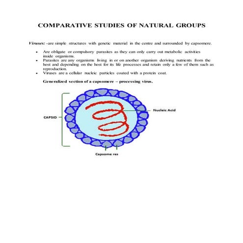 Comparative studies of natural groups | DOCX