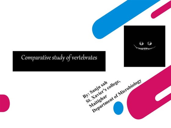 anatomy of the eyeball | PPT