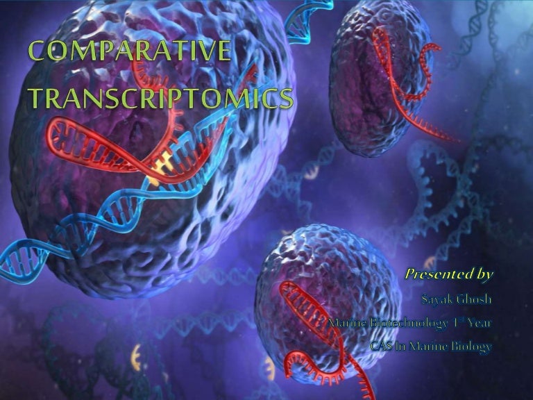 Comparative Transcriptomics