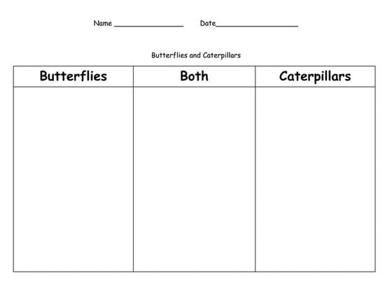 Balancing butterflies rubric | PDF