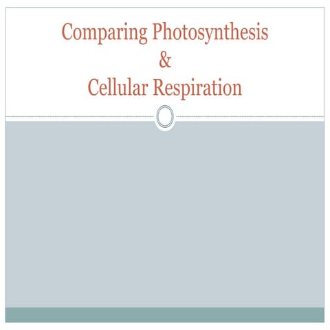 Comparing Photosynthesis & Cellular Respiration | PPTX