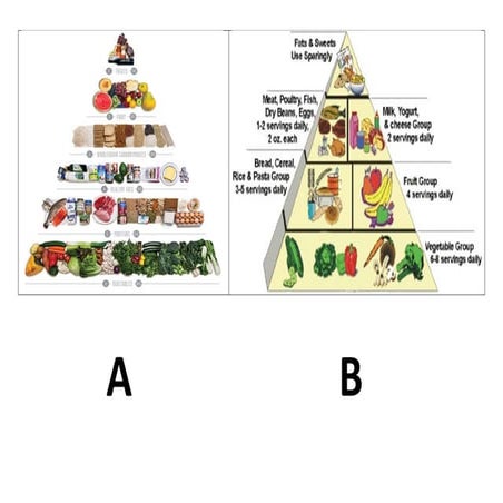 Compare the two pyramids | DOC