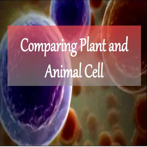 Comparing plant and animal cell | PPT