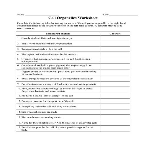Interactive Activity: Creating Detailed Plant and Animal Cell Diagrams ...