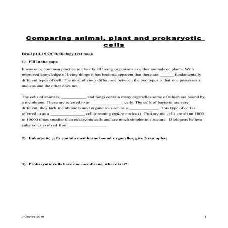 B2.1 Plant and Animal cells | PPTX