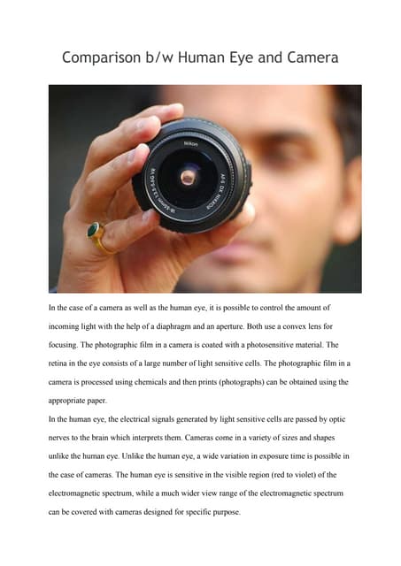 Camera and Eye Comparison | DOCX
