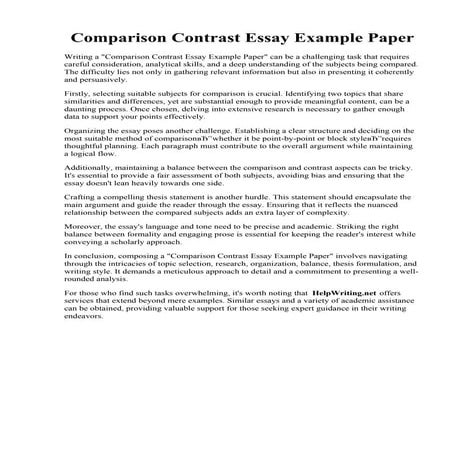 My New School Essay | PDF