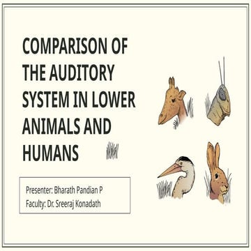 COMPARISON OF THE AUDITORY SYSTEM IN LOWER ANIMALS AND HUMANS.pptx