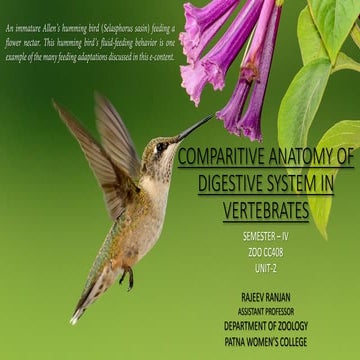 COMPARITIVE ANATOMY OF DIGESTIVE SYSTEM IN VERTEBRATES.pdf