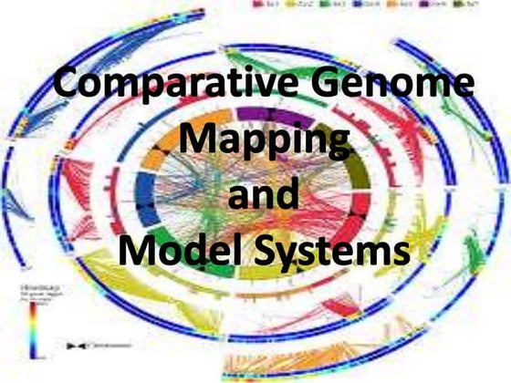 Gene mapping ppt | PPT