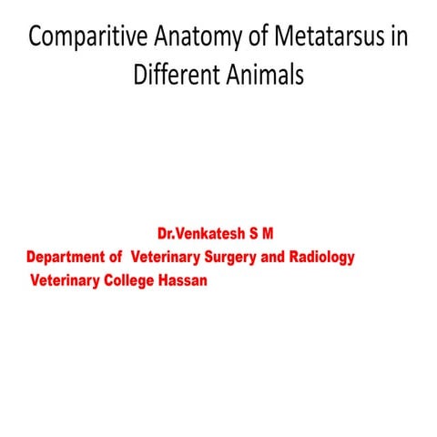 Comparitive Anatomy of Metatarsal bones in different animals.pptx
