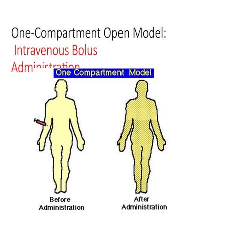 Compartment Models - Open I.V Bolus.pptx
