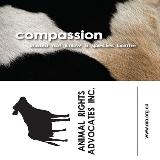 Compassion Card | PDF