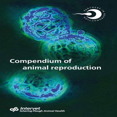 Feline reproduction and pregnancy | PPTX