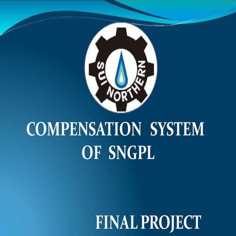 COMPENSATION AND BENEFITS PPT FINAL PROJECT ppppppppp.pptx