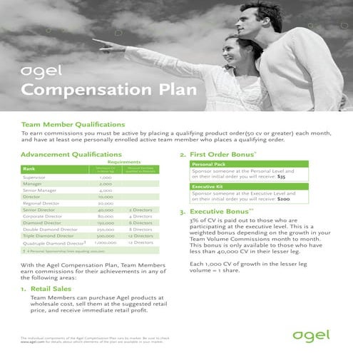 Compensation plan | PDF | Business Accounting & Finance | Business