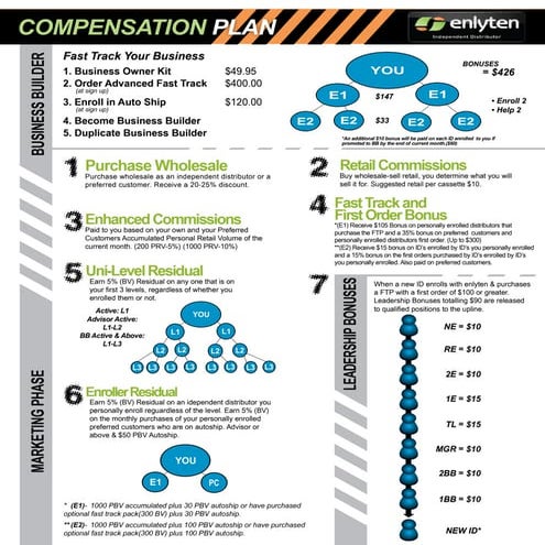 Compensation Plan | PDF