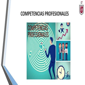 Competencias profesionales | PDF