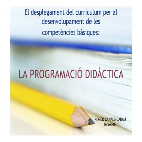 Competenciesprogramaciofebrer08 | PDF