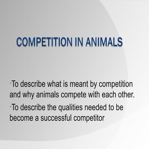 Competition In Animals | PPT