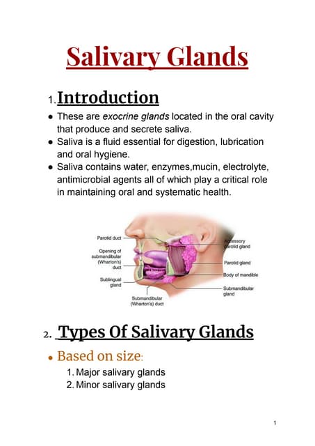 salivary glands.pptx | Ear, Nose and Throat Conditions | Diseases and Conditions