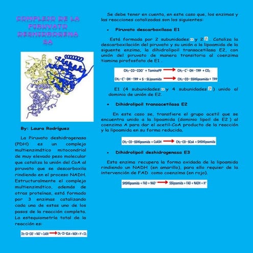 Clases de pectina | DOCX
