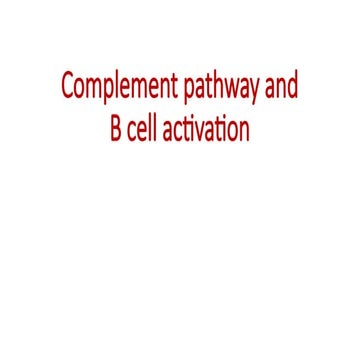 Complement pathway and B CELL FUNCTION - Copy.pptx