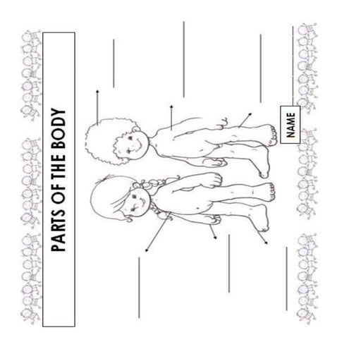 write the names parts of the body | DOCX