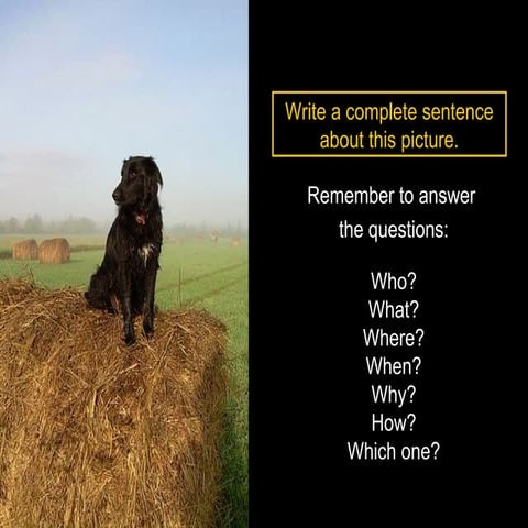 Complete Sentence Lesson | PPT