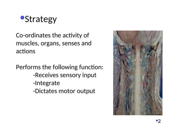 Combination Strategy | PPTX
