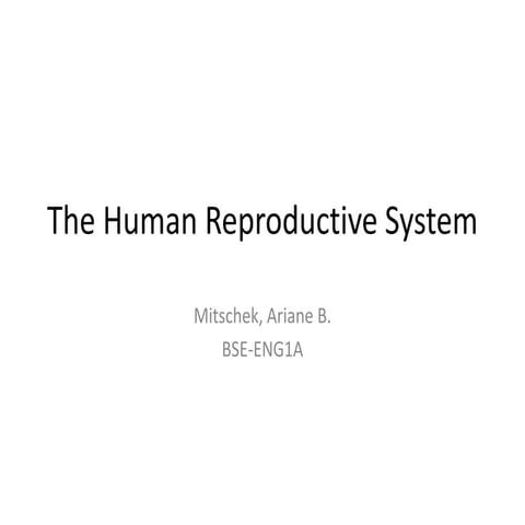 human reproductive system | PPTX | Reproductive Health | Diseases and ...