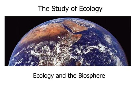 Introduction To Ecology | PPT