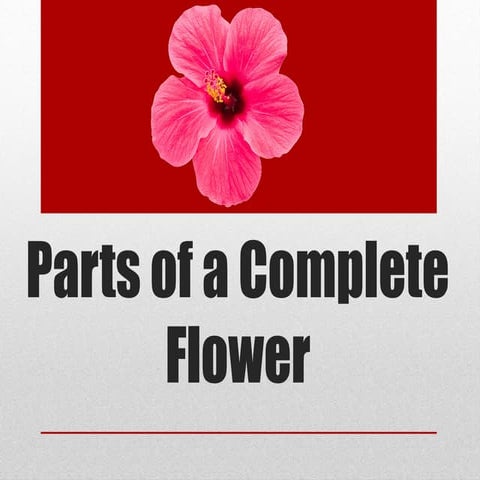 Complete Flower, functions of complete flower | PPTX