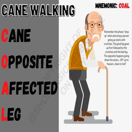 MNEMONICS MNEMONICS MNEMONICS MNEMONICS s | PDF