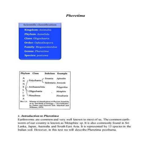 Indian Earthworm (Pheretima posthuma)ppt.pdf